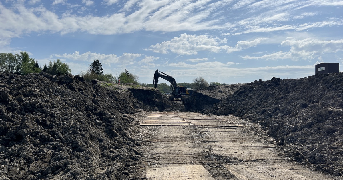 Træer bliver nu plantet ved Nordic Waste - Randers Kommune