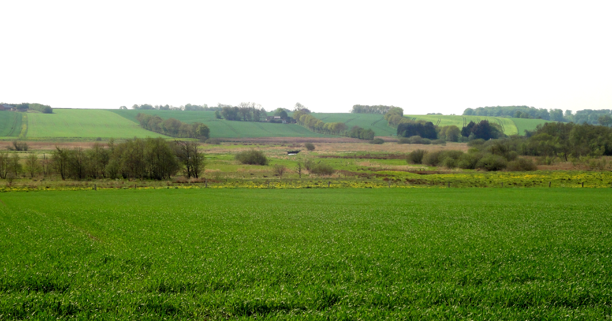 Hørning Enge og Alling Å - Randers Kommune