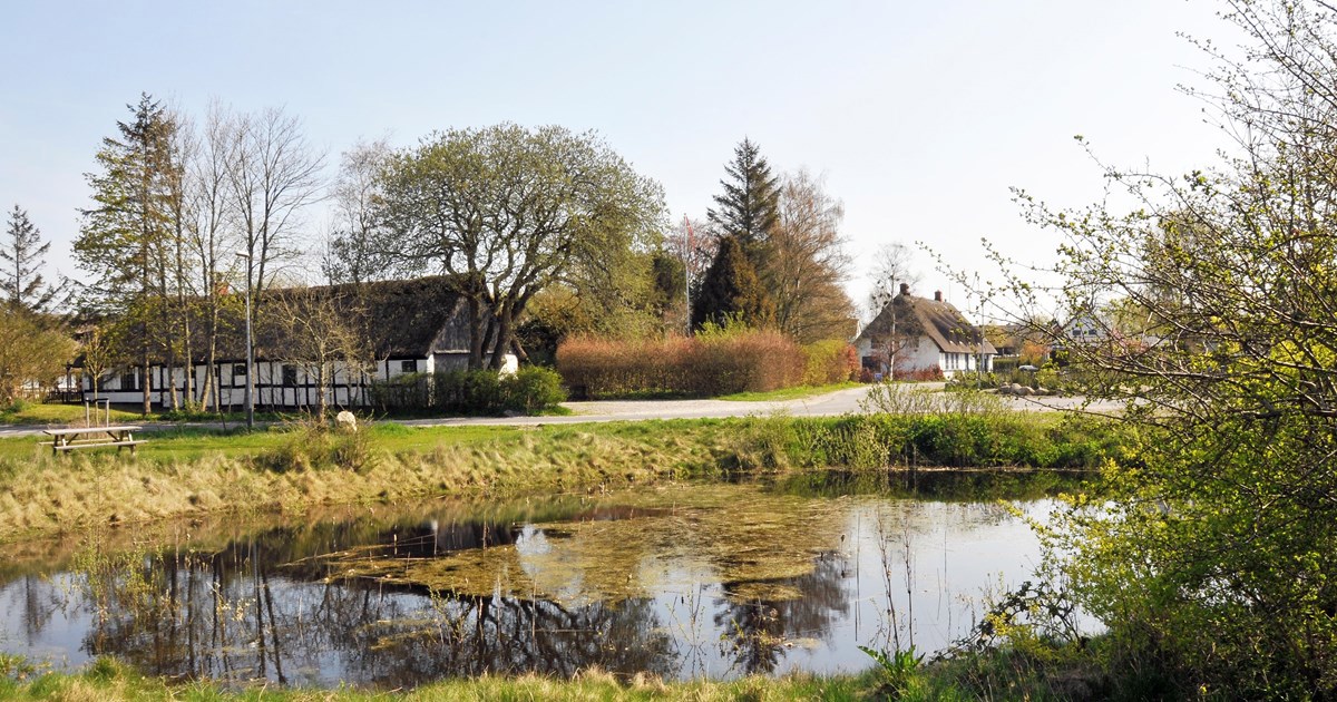 Landsbypulje gav stotte til ti projekter - Randers Kommune