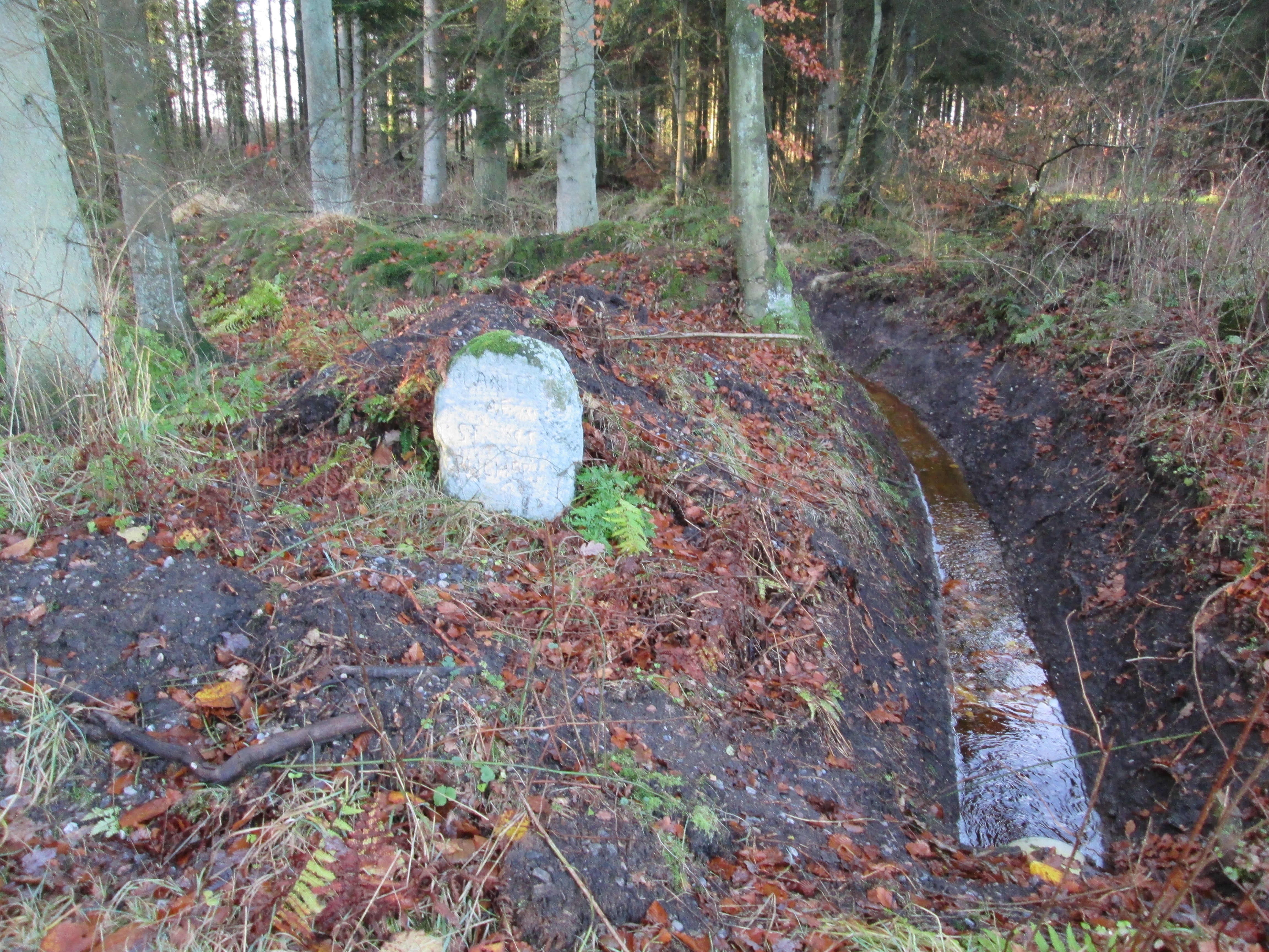 Blichers Plantage - Randers Kommune